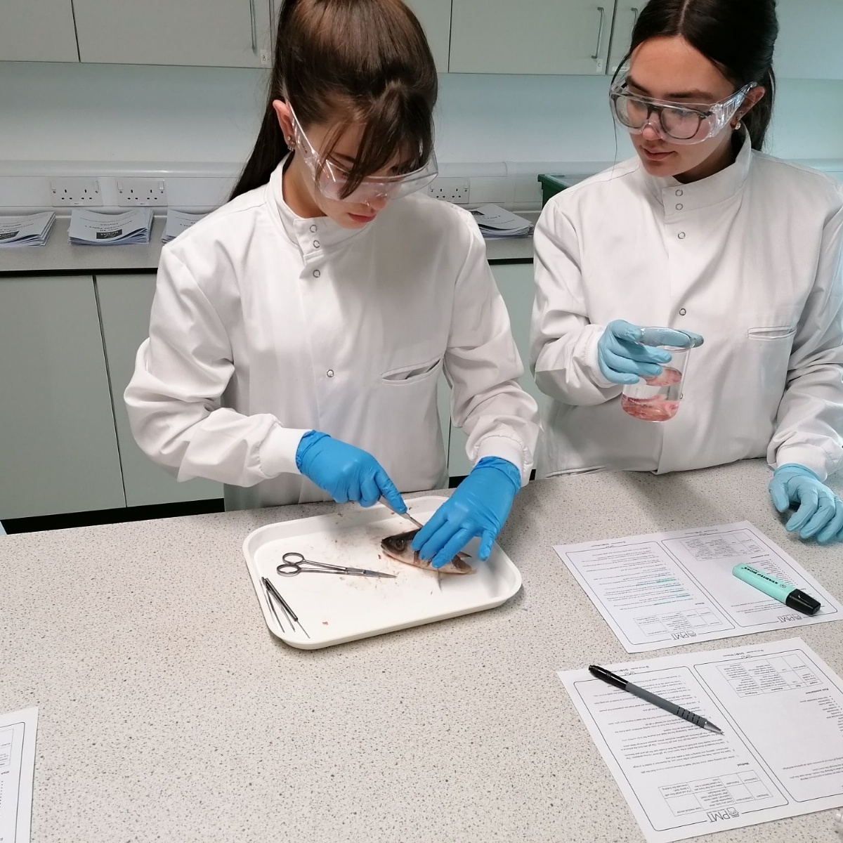 Scott Medical & Healthcare College - Year 12 A-level biology students ...