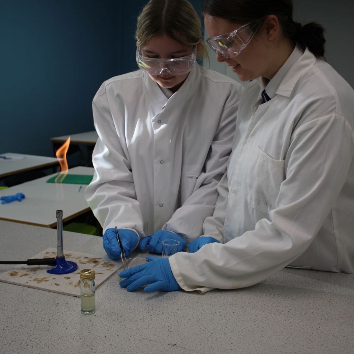 Scott Medical & Healthcare College - Year 11 Biology Students Dive into ...