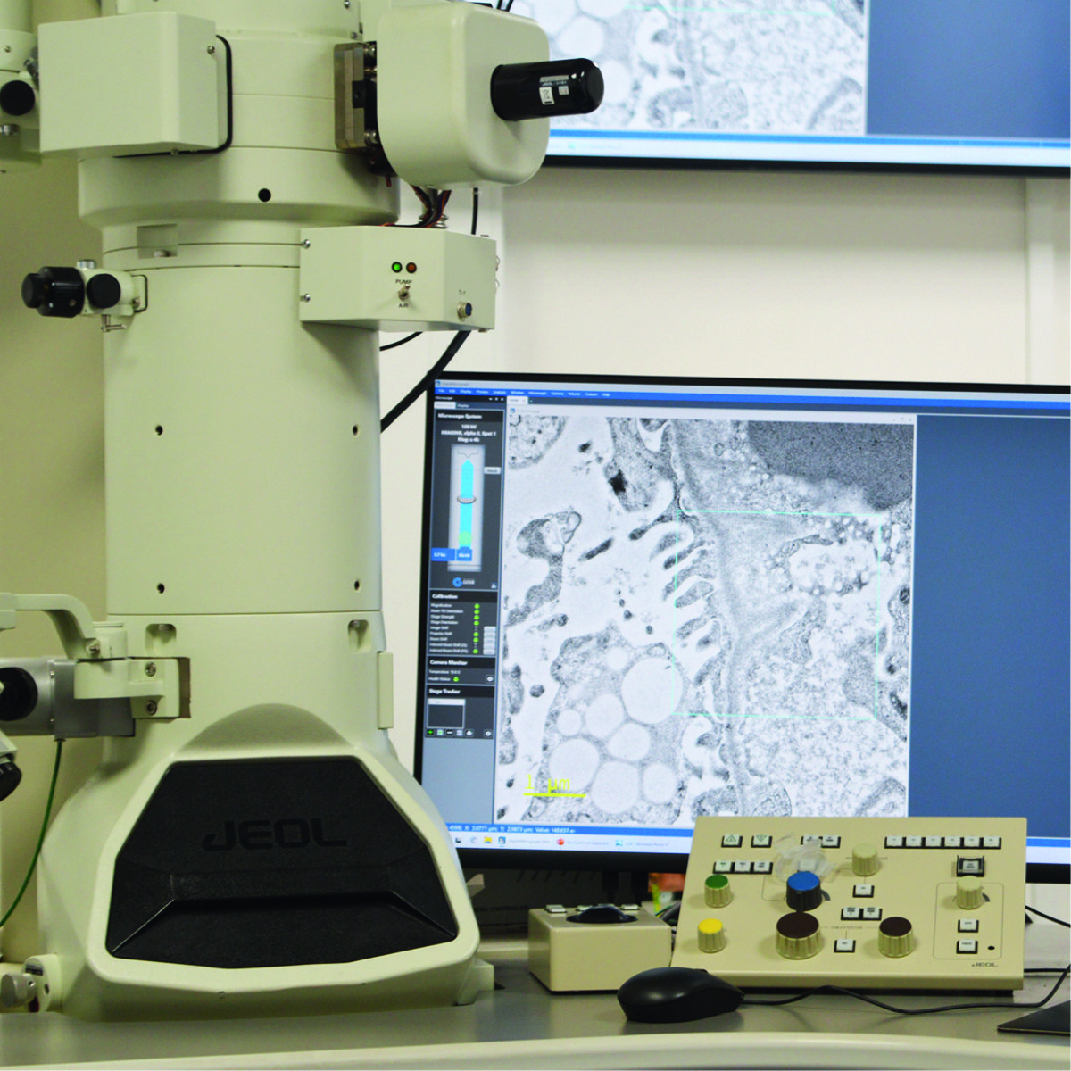 Scott Medical & Healthcare College - Year 12 Biology Students Explore ...