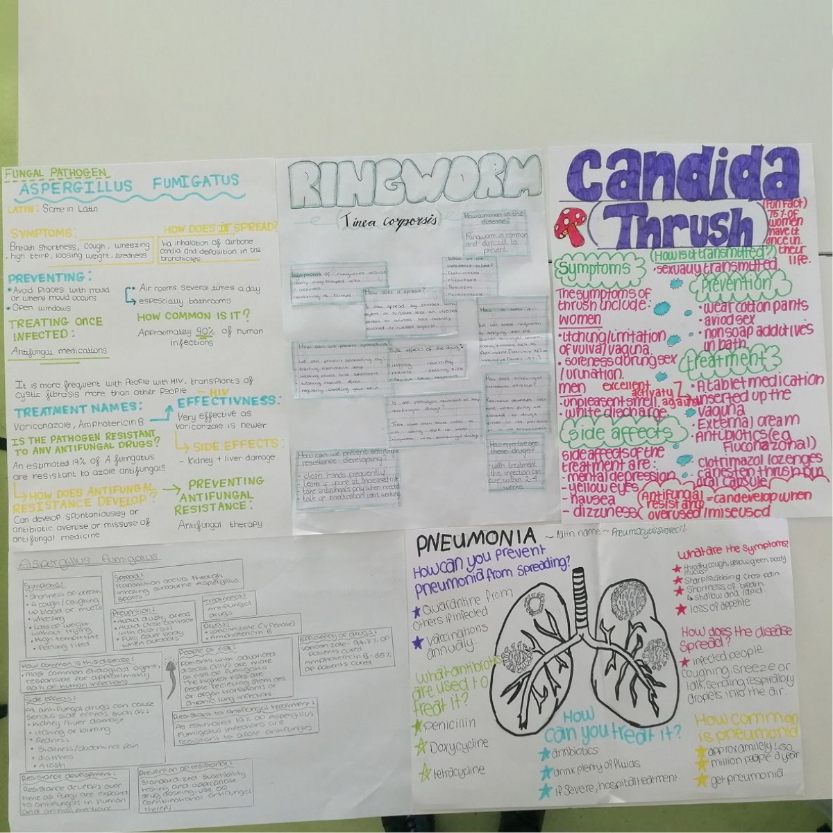Scott Medical & Healthcare College - British Science Week Poster ...
