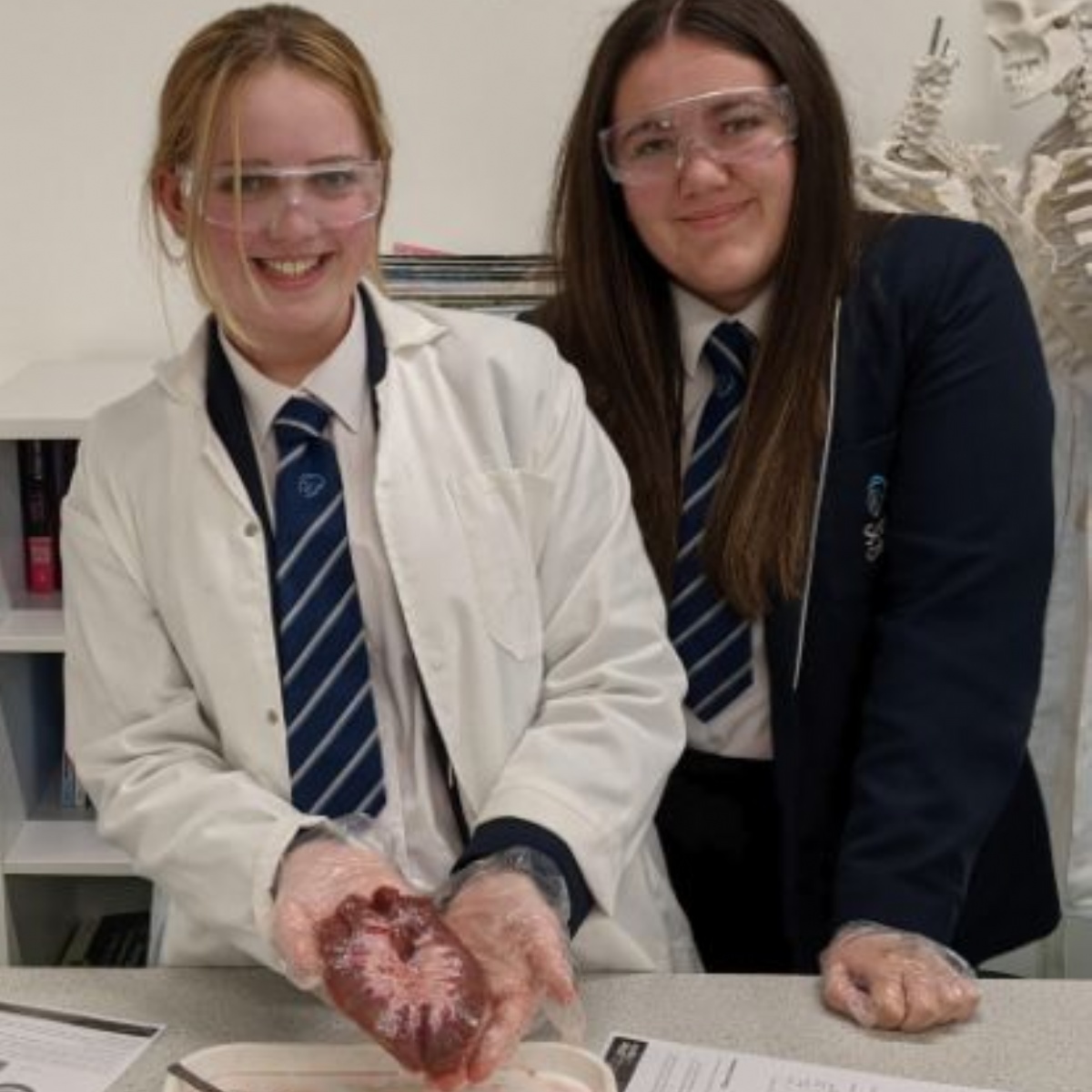 Scott Medical & Healthcare College - Dissection Club